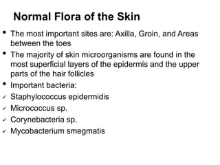 7.Human Microbial Interaction between.ppt