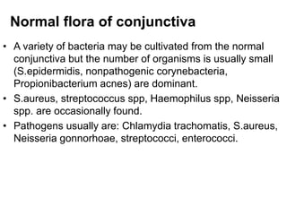 7.Human Microbial Interaction between.ppt