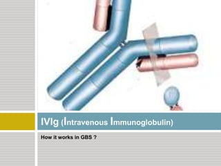 7. GBS , Gullian Barre Syndrome and Role of IVIg.pptx