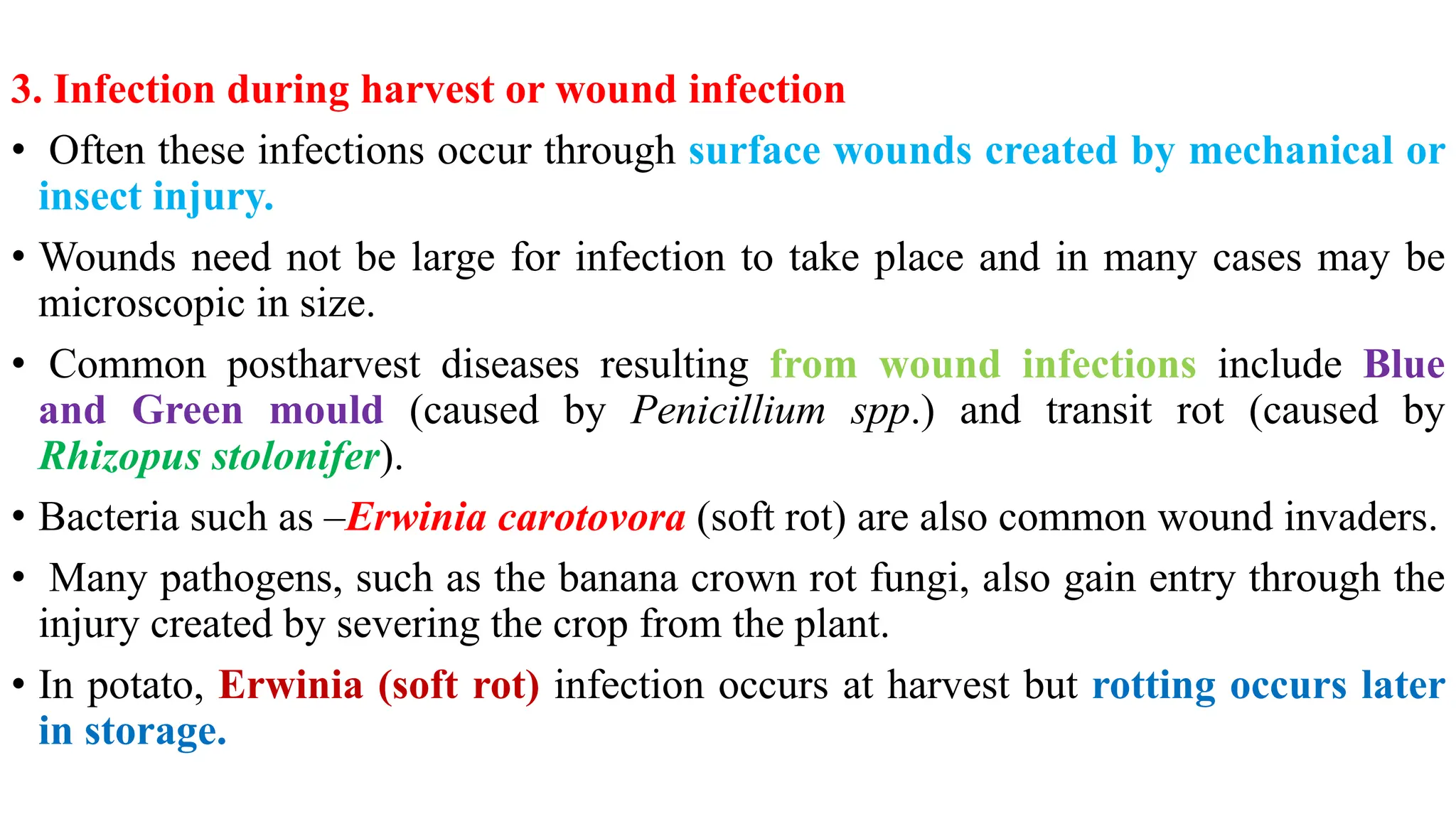 7. Post harvest diseases and their control.pptx