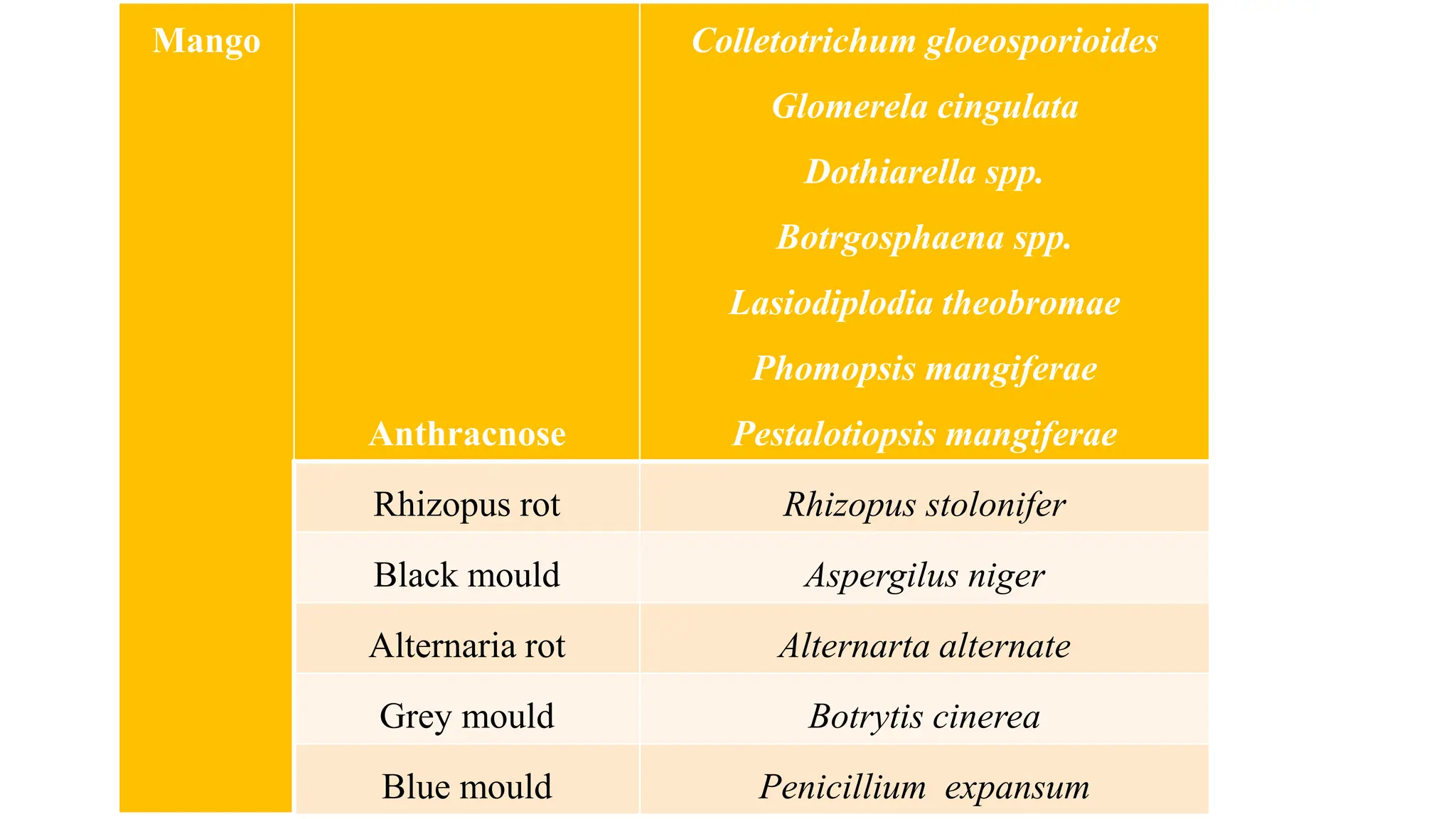 7. Post harvest diseases and their control.pptx