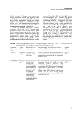 Mitigasi Cekaman Kadmium Pada Tanaman Padi | PDF