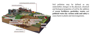 7. Soil Pollution.pptx chapter three Envieronmental | PPTX | Gardening ...