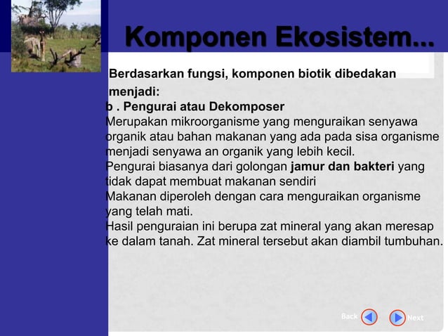 power point tentang ekosistem yang menjelaskan tentang keanekaragaman makhluk hidup | PPT