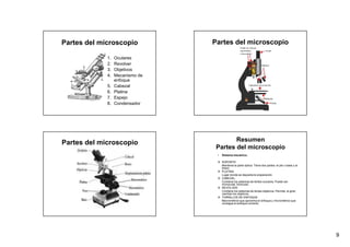7. El_Microscopio.pdf el microscopio y sus partes | PDF