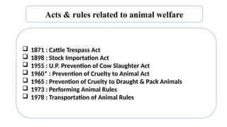 Rules and Act related to Veterinary Sciences | PPTX