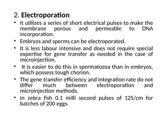 MSc zoology 7._TRANSGENIC_FISH_PRODUCTION.ppt