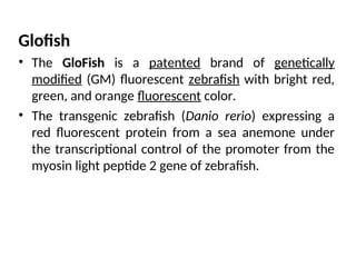 MSc zoology 7._TRANSGENIC_FISH_PRODUCTION.ppt