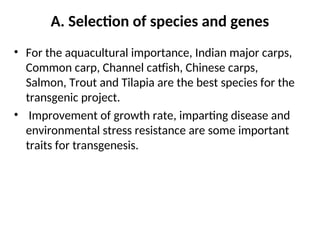 MSc zoology 7._TRANSGENIC_FISH_PRODUCTION.ppt