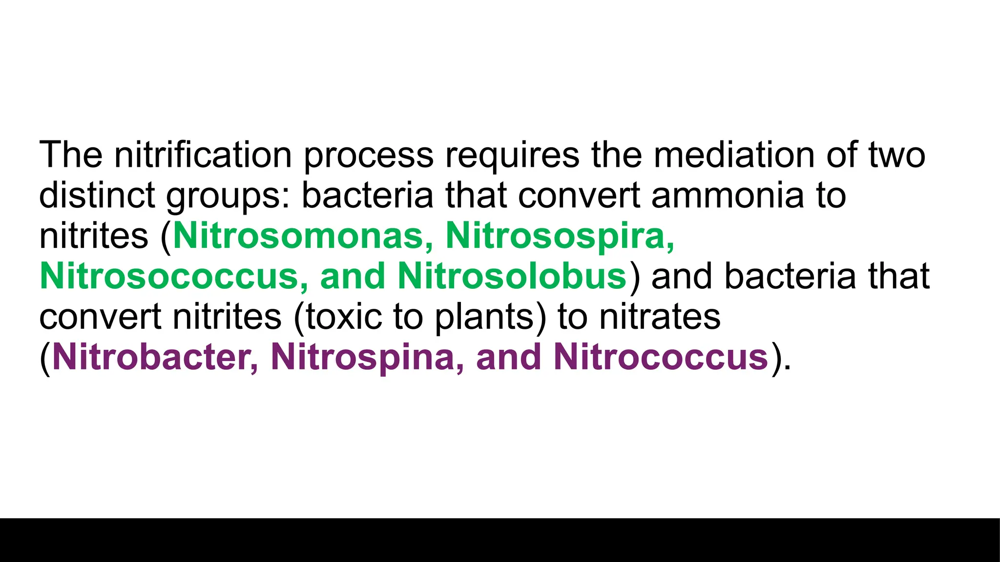 Biogeochemical Cycle Earth and Life Science | PPT | Science