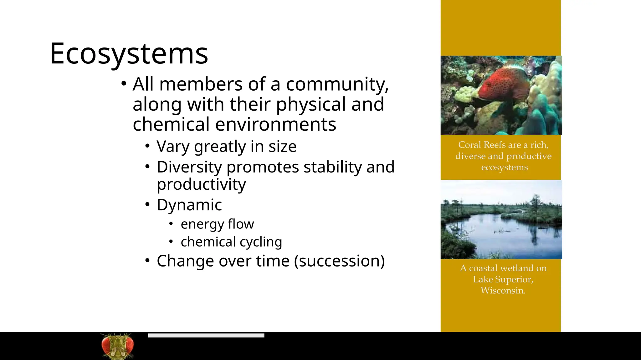 Biogeochemical Cycle Earth and Life Science | PPT
