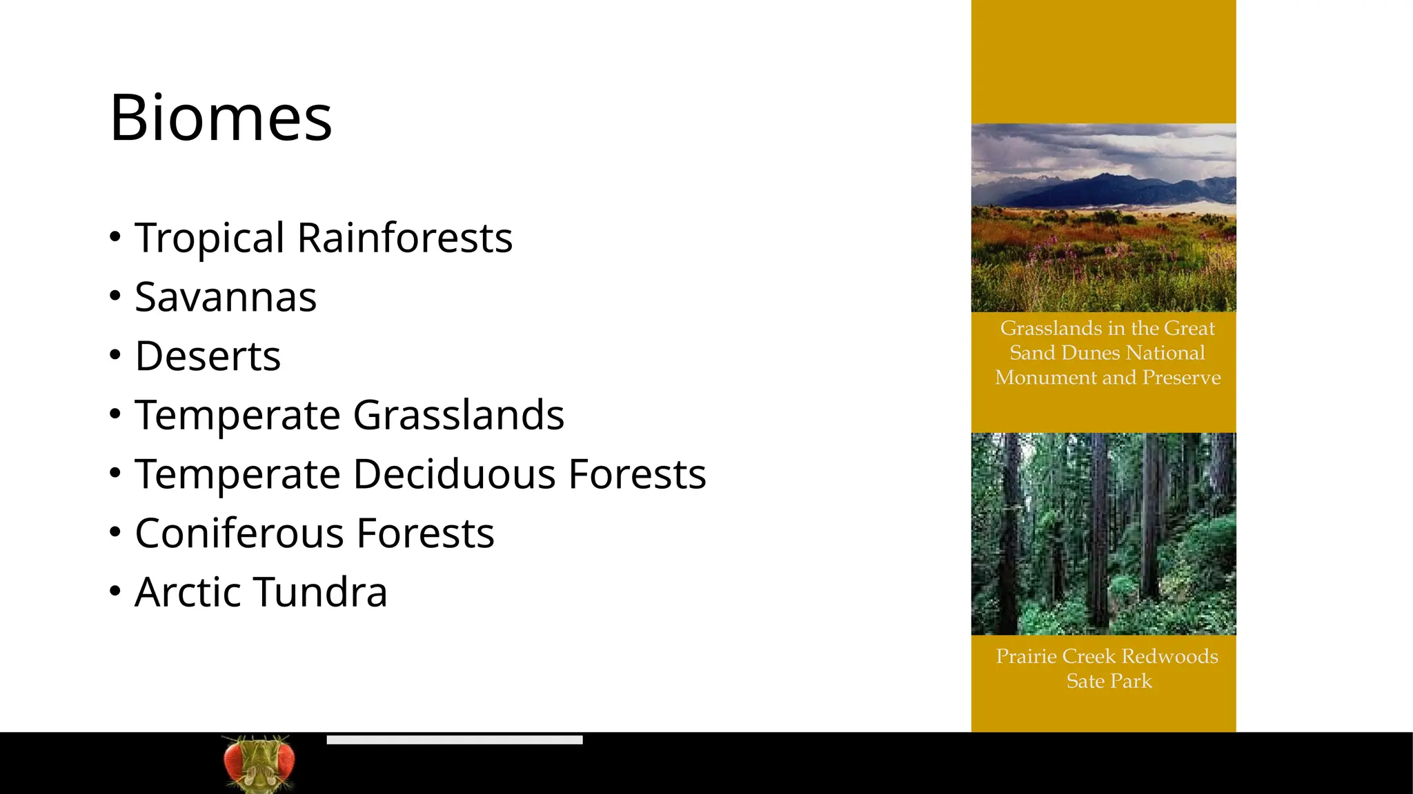 Biogeochemical Cycle Earth and Life Science | PPT