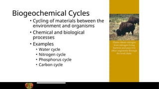 Biogeochemical Cycle Earth and Life Science | PPT | Science