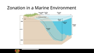 Biogeochemical Cycle Earth and Life Science | PPT