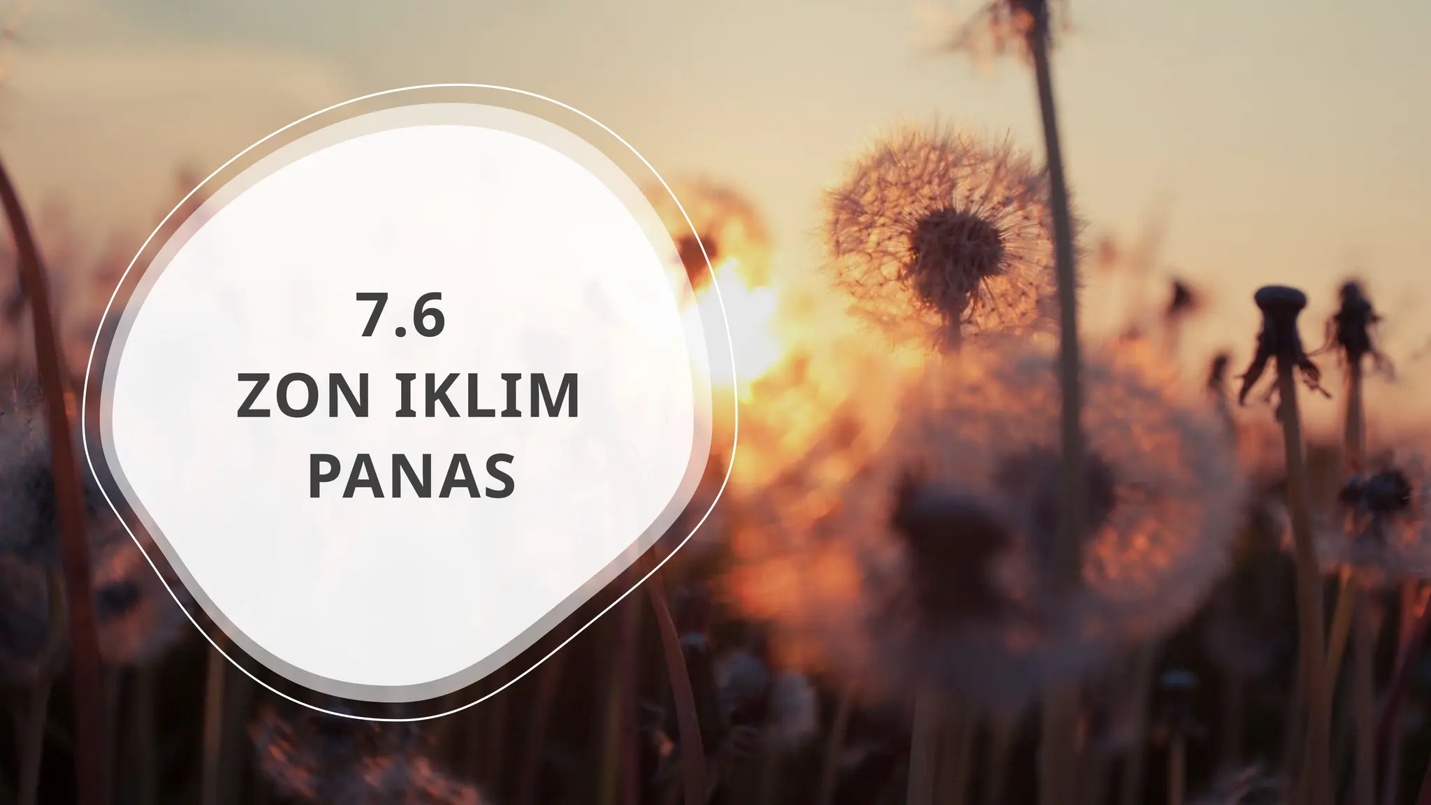 7.6 Penerangan Terperiinci Ciri-Ciri Dan Sifat-Sifat Penting ZON IKLIM ...