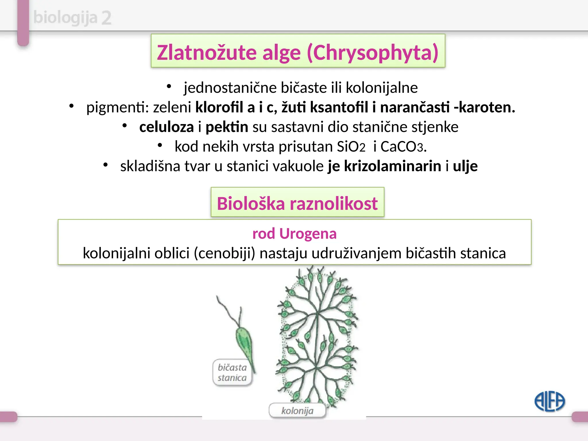 7. Jednostanični autotrofni organizmi.pptx