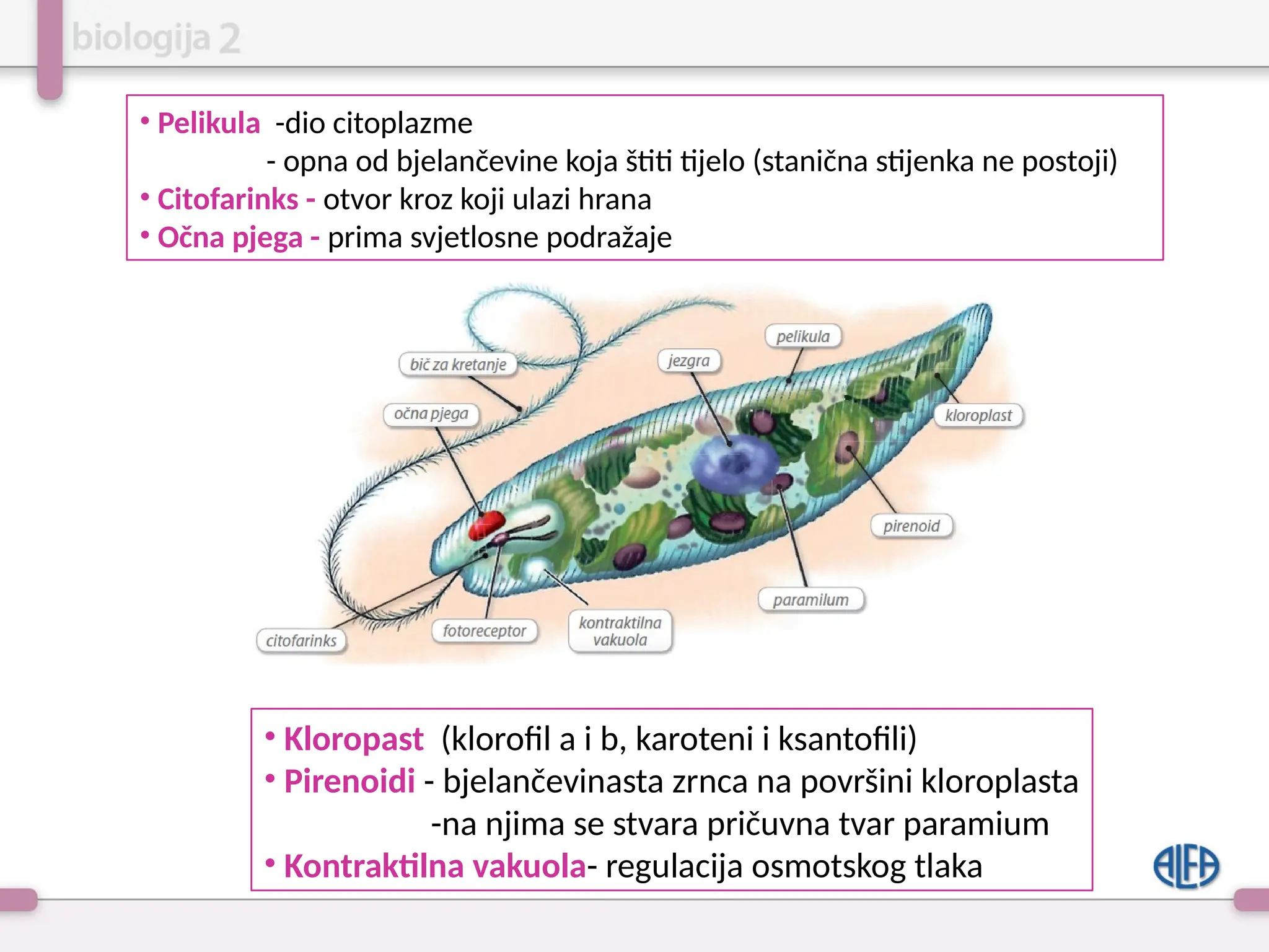 7. Jednostanični autotrofni organizmi.pptx