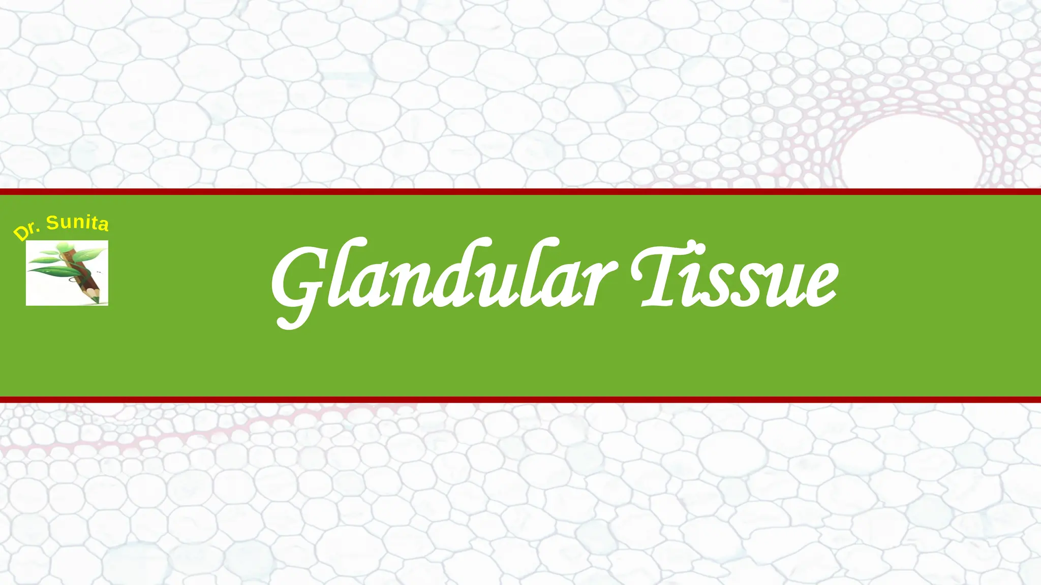 Secretory tissue present in plants.. | PPTX