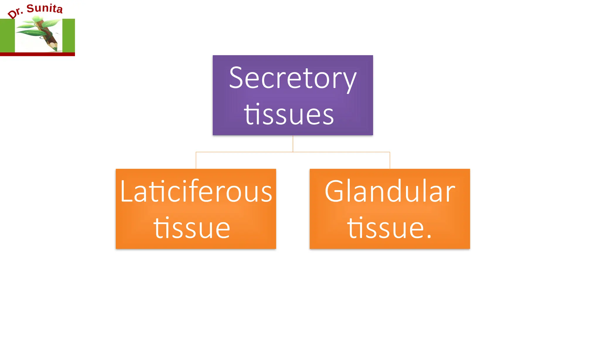 Secretory tissue present in plants.. | PPTX