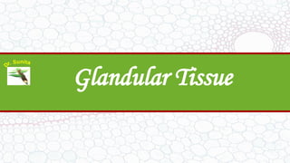 Secretory tissue present in plants.. | PPTX