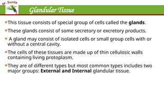 Secretory tissue present in plants.. | PPTX