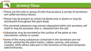 Secretory tissue present in plants.. | PPTX