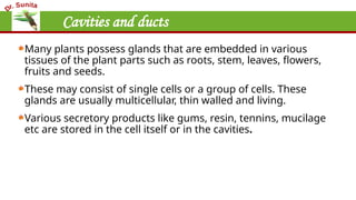 Secretory tissue present in plants.. | PPTX