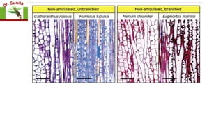 Secretory tissue present in plants.. | PPTX