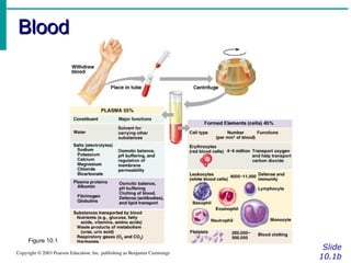 Anatomy and physiology blood pptx.com.ph