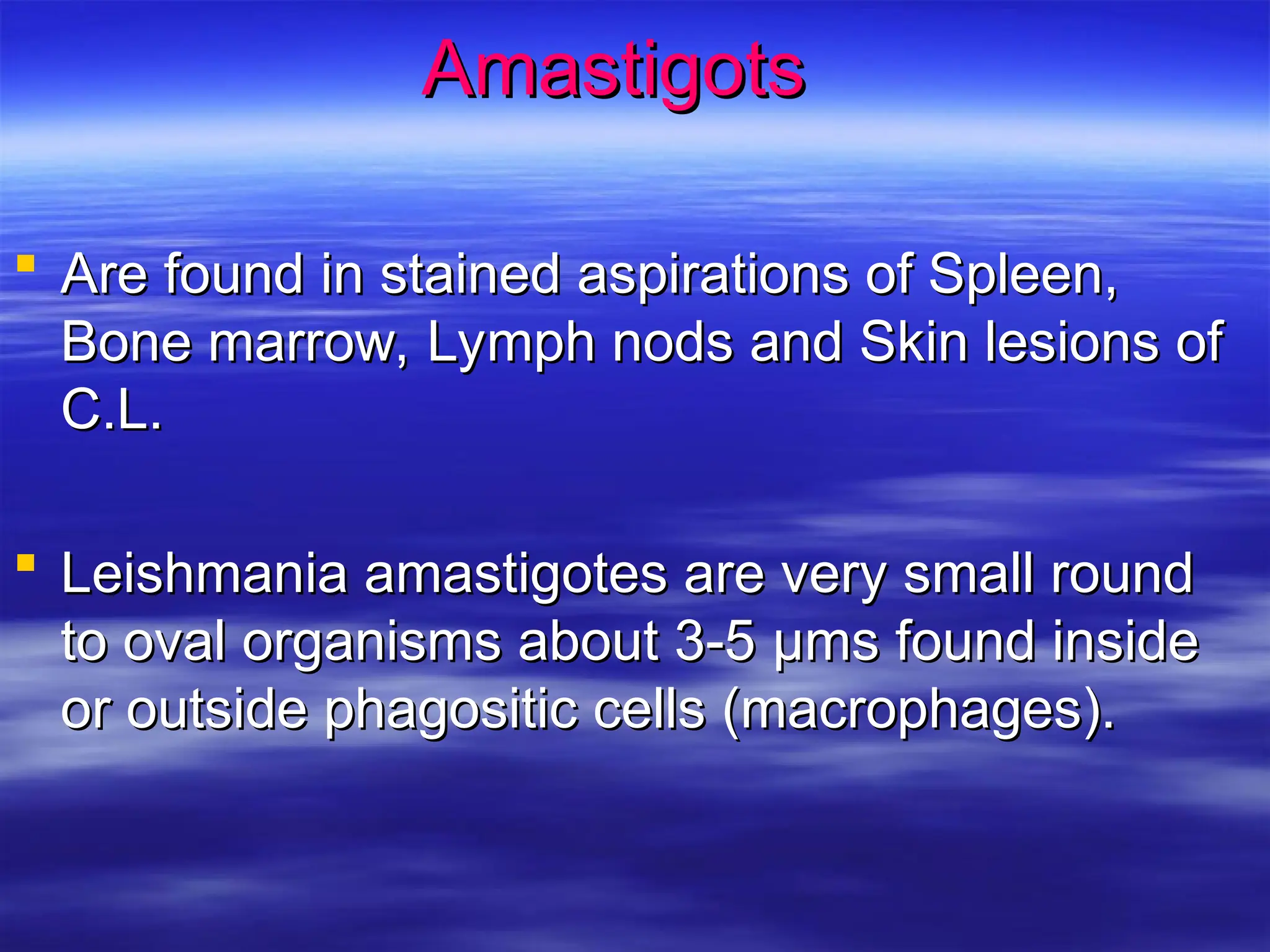 7. Morphology of leishmaniasis parasites.ppt