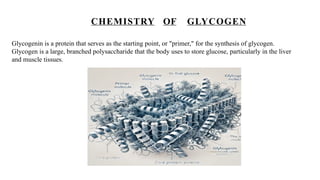 DPT - Biochemistry & Genetics - II (Metabolism of Carbohydrates ...