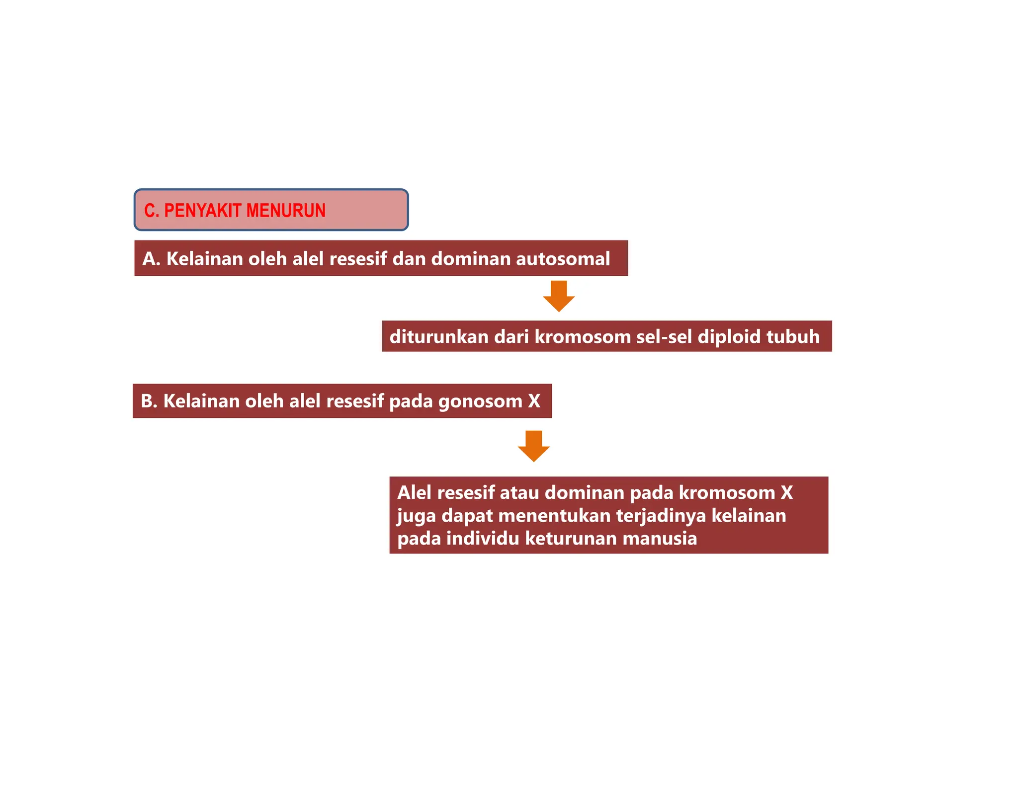 7. kelainan genetik.Kelainan genetik adalah kondisi yang disebabkan ...