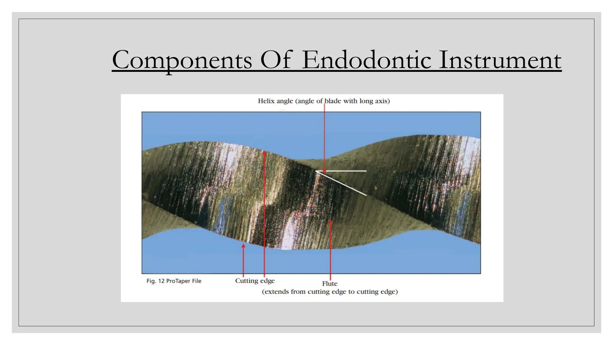 7. ENDODONTIC INSTRUMENTS in endodontics.pptx