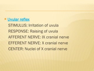 7. REFLEXES examination physiotherapy assessment | PPTX