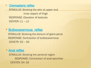 7. REFLEXES examination physiotherapy assessment | PPTX
