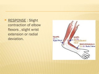 7. REFLEXES examination physiotherapy assessment | PPTX