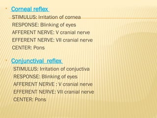 7. REFLEXES examination physiotherapy assessment | PPTX