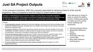 Mine Land and Water Rehabilitation in South Africa | PDF