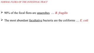 Normal flora, Special type of bacteria,Useful bacteria | PPTX