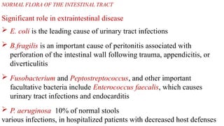 Normal flora, Special type of bacteria,Useful bacteria | PPTX