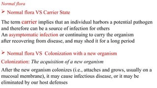 Normal flora, Special type of bacteria,Useful bacteria | PPTX