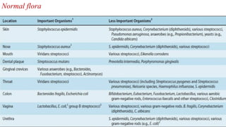 Normal flora, Special type of bacteria,Useful bacteria | PPT