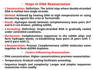 7. DNA Reassociation.pptx Dr Thirunahari Ugandhar | PPTX