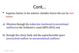 7. Diseases of the Eye. Pharmacotherapy ppt | PPT