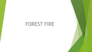 7. Forest fire Surface fires Surface fire is the most common forest ...