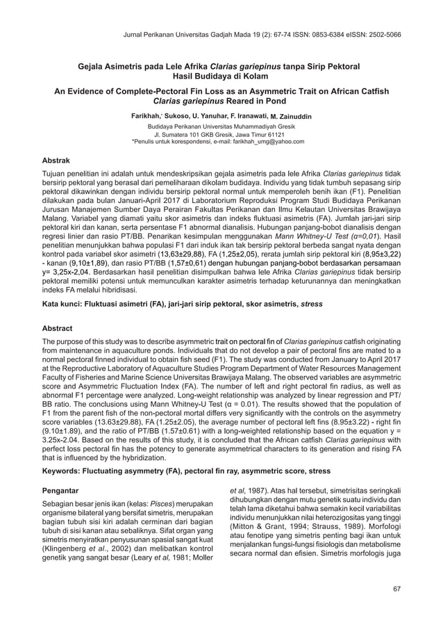 An Evidence of Complete-Pectoral Fin Loss as an Asymmetric Trait on ...
