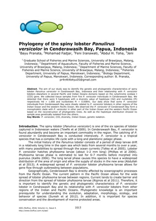 Phylogeny of the spiny lobster Panulirus versicolor in Cenderawasih Bay ...