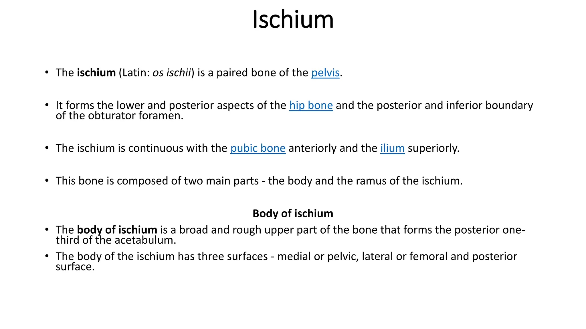 7. The lower extremities.pdf anatomy pdf | PDF