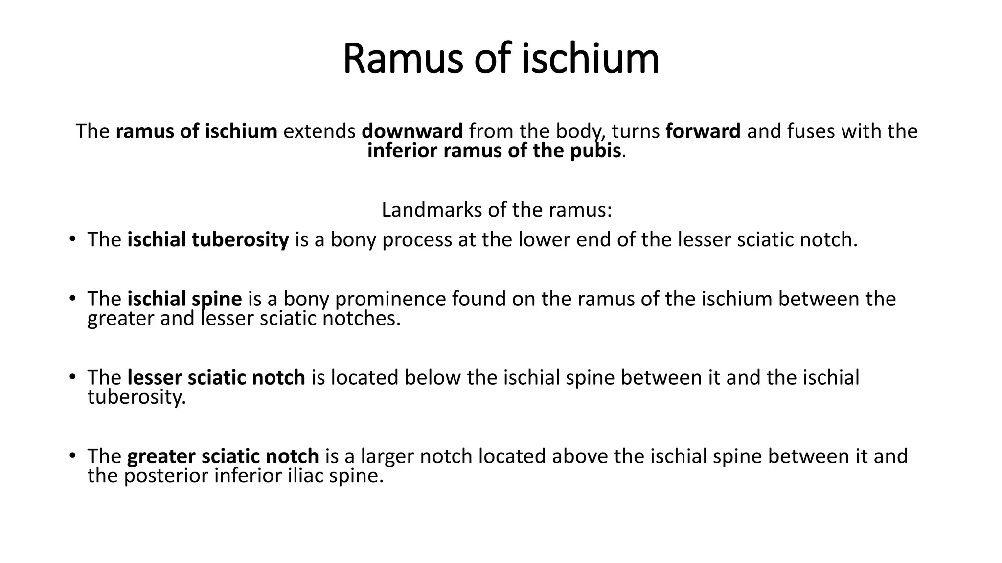 7. The lower extremities.pdf anatomy pdf | PDF