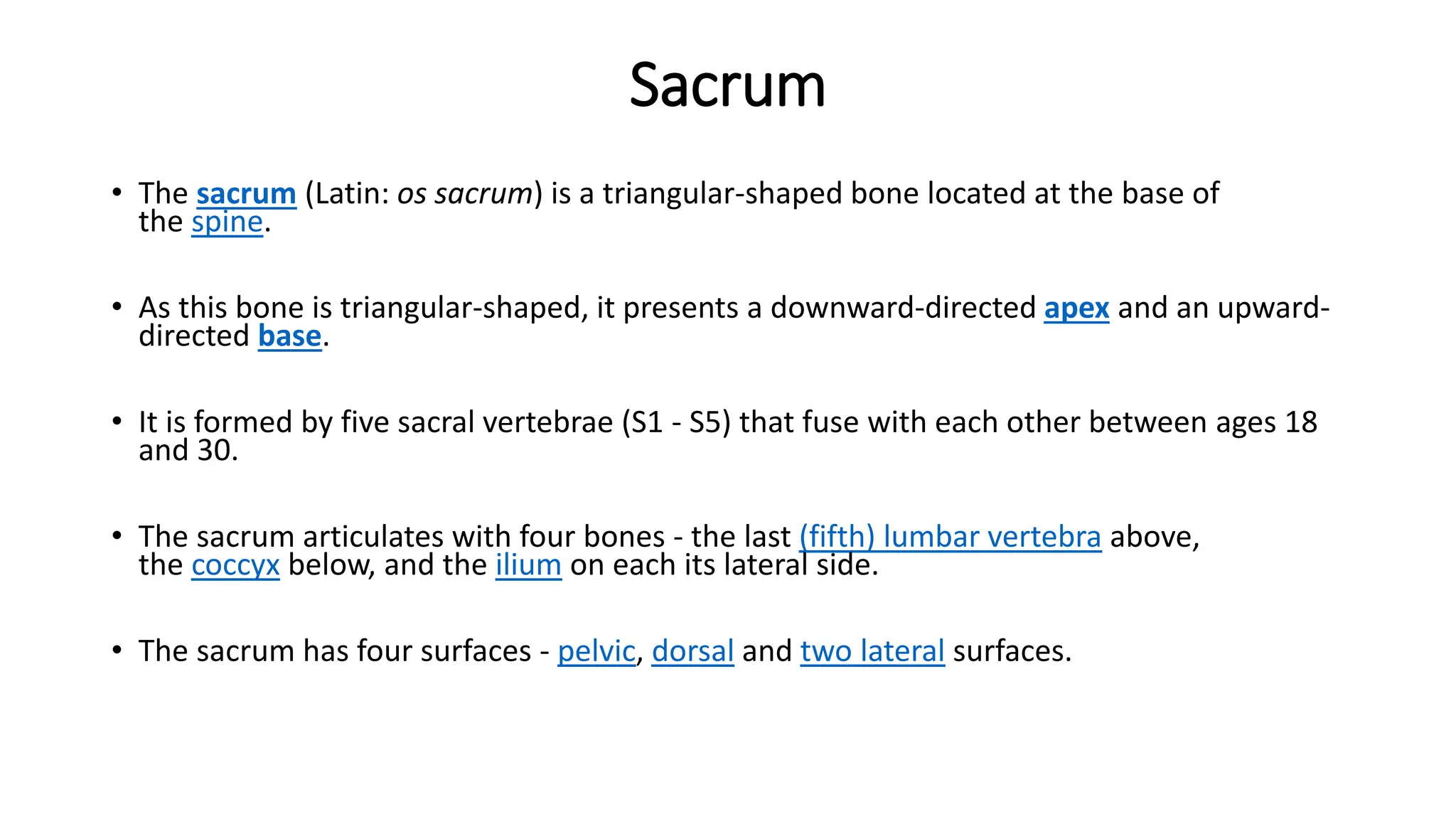 7. The lower extremities.pdf anatomy pdf | PDF